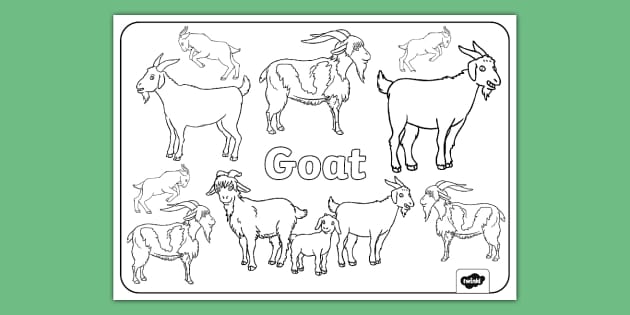 Goat Doodle Colouring Page (teacher made) - Twinkl