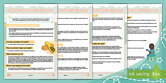 A Guide to Week 23 of Pregnancy (teacher made) - Twinkl