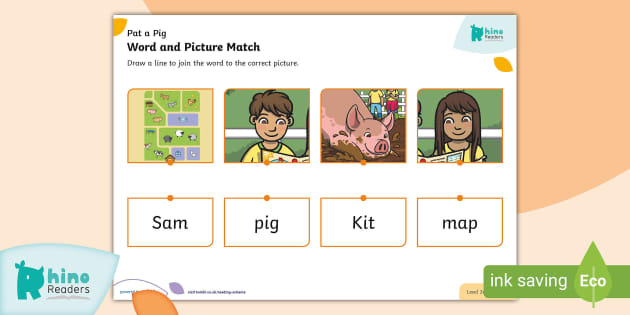 Level 2a Pat a Pig: Word and Picture Match (teacher made)