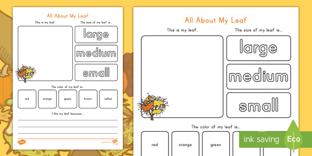 All About My Leaf Activity - Twinkl