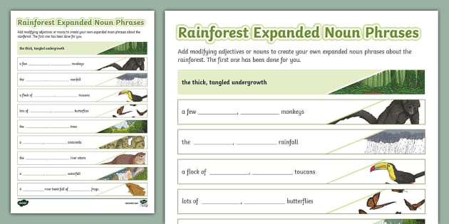 Rainforest-Themed Expanded Noun Phrases Worksheet - Twinkl