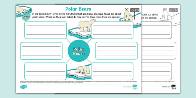 Polar Bears Mind Map,polar bears (Hecho por educadores)