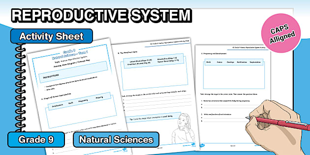 Grade 9 - Natural Sciences - Reproductive System - Activity (CAPS Aligned)