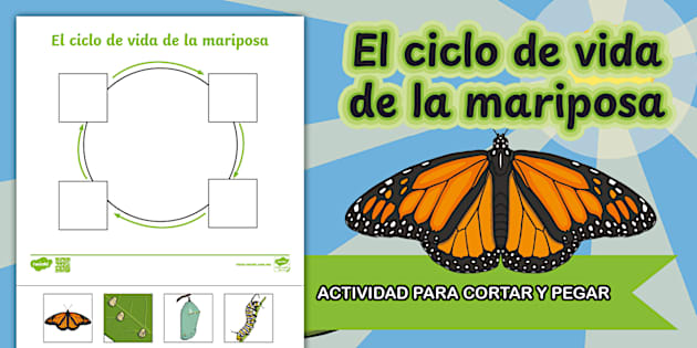 Hoja de actividad: Cortar y pegar - El ciclo de vida de la mariposa