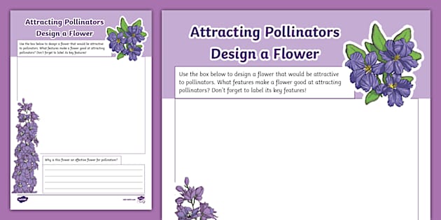 Design a Flower for Pollination Worksheet