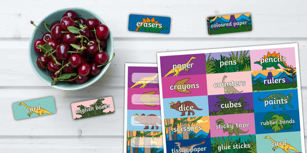 Classroom Storage Cupboard Labels - Rectangle Printable Stickers - Dinosaur