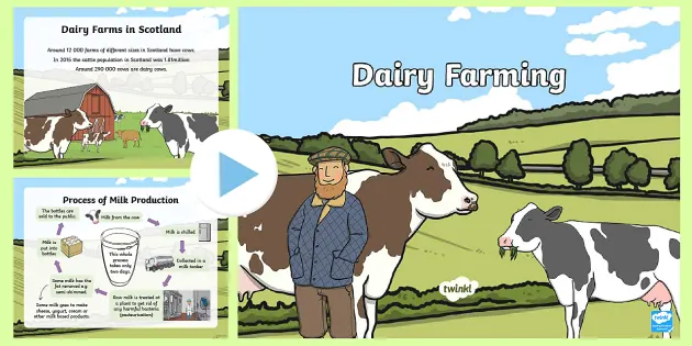 Cow Milk Production Process