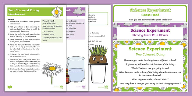 Kindergarten Spring Themed Science Experiments Resource Pack
