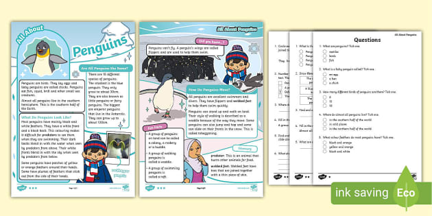 KS1 All About Penguins Differentiated Reading Comprehension