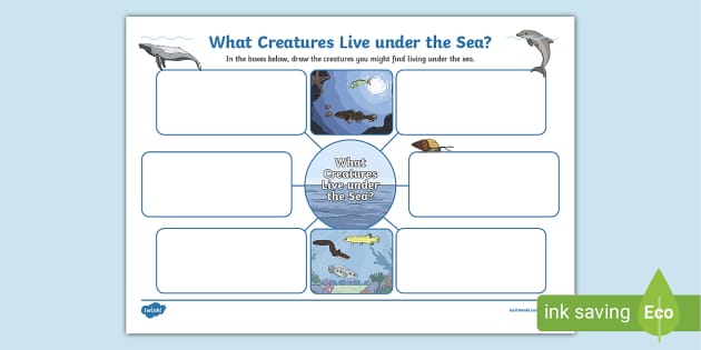 What Creatures Live under the Sea? Mind Map (Teacher-Made)
