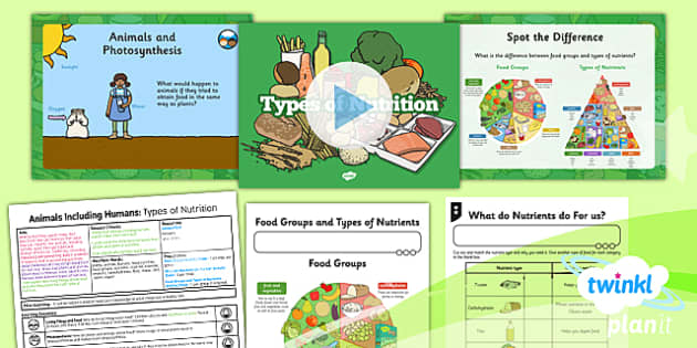 Science: Animals Including Humans: Types of Nutrition Year 3 Lesson 1