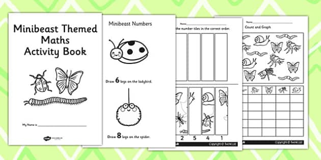 Minibeast Themed KS1 Maths Activity Book (teacher made)