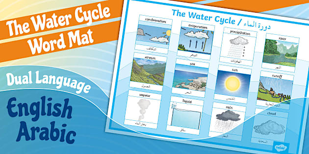Water Cycle English/Arabic Dual-Language Word Mat