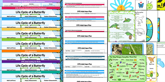 EYFS Life Cycle Butterfly Lesson Plan Enhancement Ideas Resources ...
