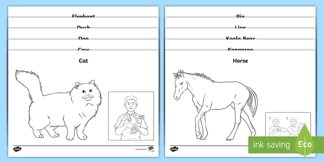 Auslan Animals Colouring Pages (teacher made)