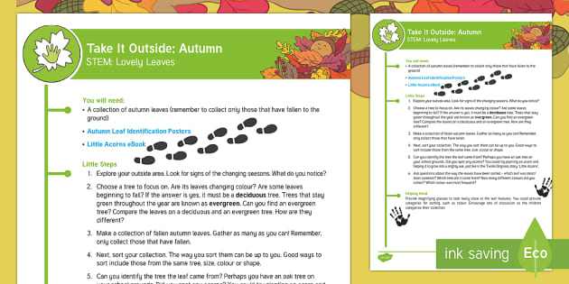 EYFS Take It Outside: Autumn STEM - Lovely Leaves Activity