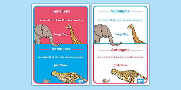 Synonym and Antonym Poster - Teaching Resource - Twinkl