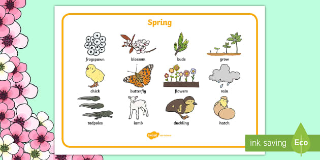 Spring Aistear Word Mat (teacher made) - Twinkl
