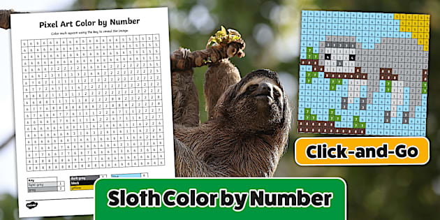 Sloth Pixel Art Color by Number Worksheet (teacher made)