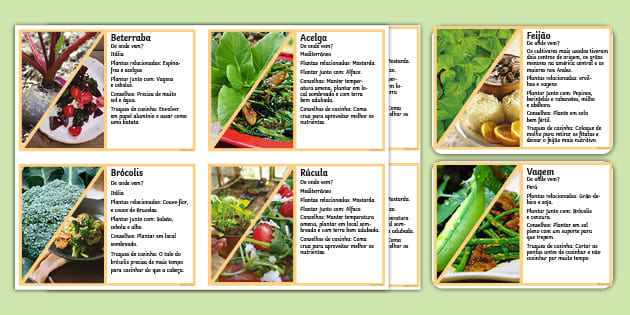 Cartões informativos - Plantas da horta (teacher made)