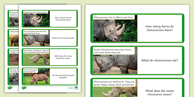 KS1 Rhino Facts Loop Cards Game - KS1 - Twinkl
