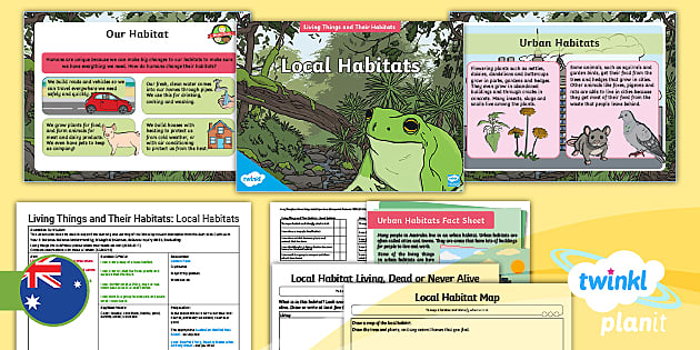 Year 1 Science Living Things and Their Habitats Lesson 2
