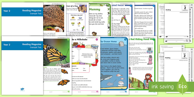 Year 2 Pre NAPLAN Reading Test Resource Pack (teacher made)