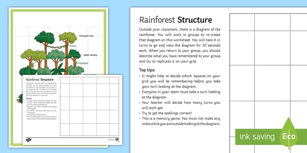 Rainforest Structure Memory Game Activity Pack