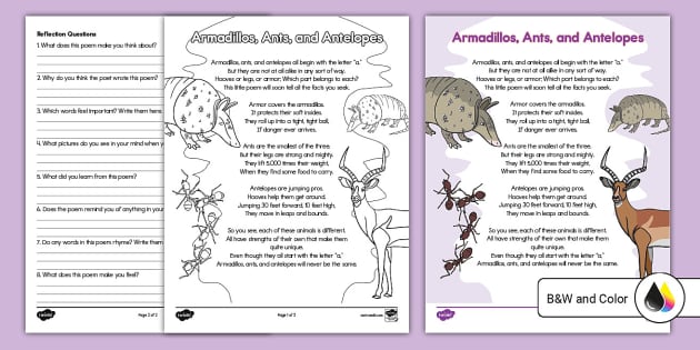 Second Grade Poetry Analysis Worksheet: Armadillos, Ants, and Antelopes