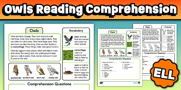 Owls Reading Passage Comprehension Worksheet for ELL