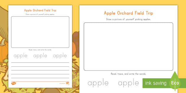 Apple Orchard Field Trip Worksheet / Worksheet - Twinkl
