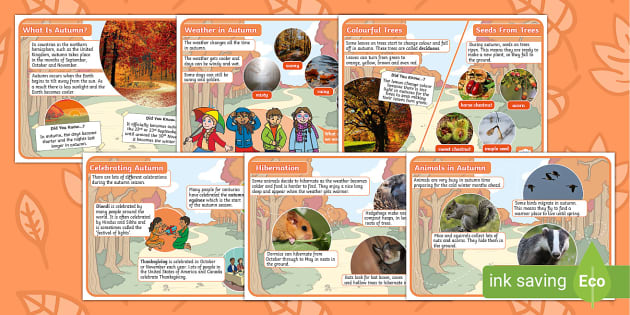 EYFS All About Autumn Fact Files | Twinkl (teacher made)