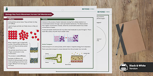Biology Activity Mat: Movement Across Cell Membranes Biology Activity Mat: Movement Across Cell Membranes