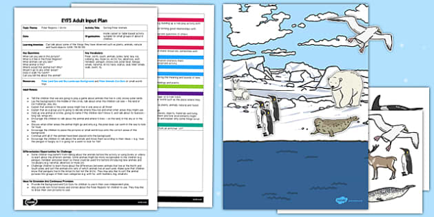 Sorting Polar Animals EYFS Adult Input Plan and Resource Pack