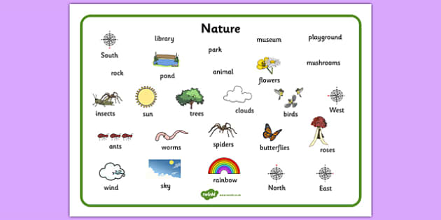 Nature Word Mat (teacher made)