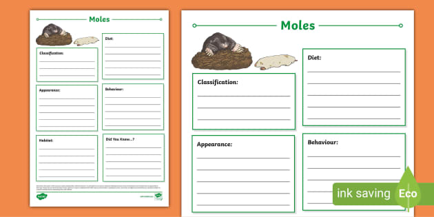Mole Fact File Template (creat de profesori) - Twinkl