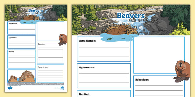 Beavers Non-Chronological Report Template (Teacher-Made)
