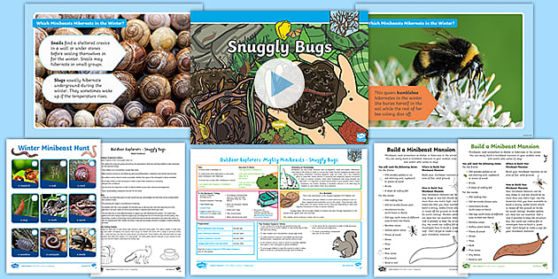 Outdoor Explorers EYFS Winter Lesson 6 Snuggly Bugs - Twinkl