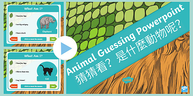 'What Am I?' Guessing Game Animal Themed /動物猜猜看Powerpoint
