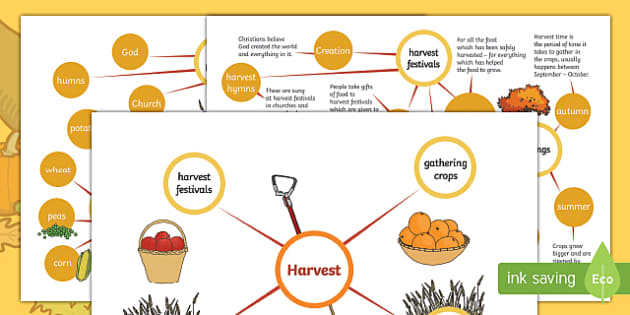 Differentiated Harvest Concept Maps Worksheet / Worksheet