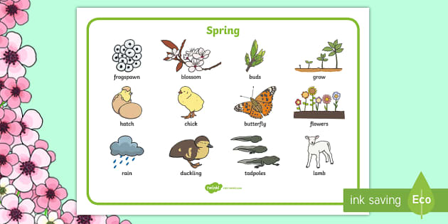 Spring Word Mat - Teaching Resource - Display and Activities