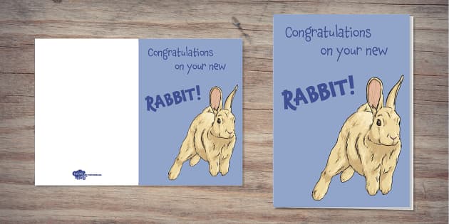 New Pet Rabbit Card | Twinkl Party (teacher made) - Twinkl
