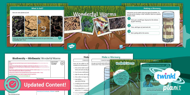 Science: Biodiversity - Minibeasts: Wonderful Worms Year 2 Lesson 5