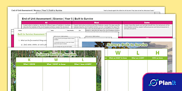 Year 5 Science Built to Survive Assessment Pack - Twinkl