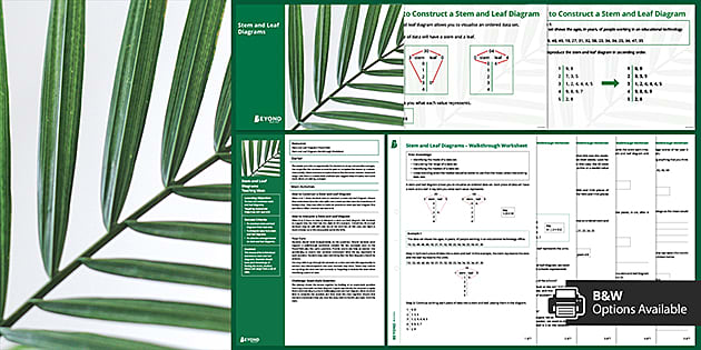 Stem And Leaf Diagram Lesson Pack GCSE Maths Beyond