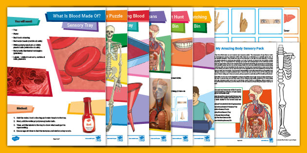 My Amazing Body Sensory Pack (teacher made) - Twinkl