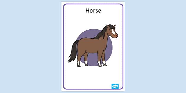 Horse Poster For KS1 | Primary Resources | Twinkl - Twinkl