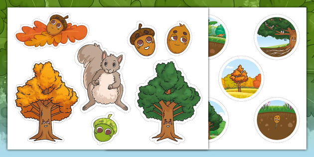 Little Acorns Story Cut-Outs - Twinkl