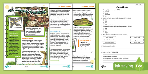 LKS2 All About Snakes Differentiated Reading Comprehension Activity