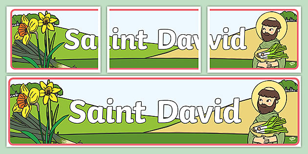 Saint David Display Banner